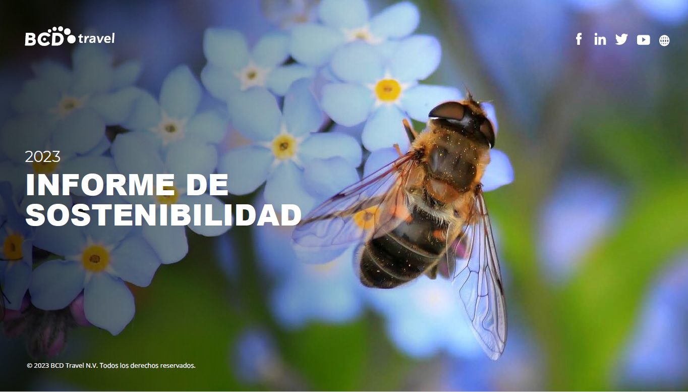 Sostenibilidad es más que huellas de carbono - BCD Travel
